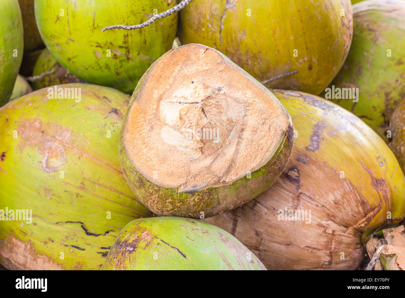 Group of green coconuts Stock Photo - Alamy