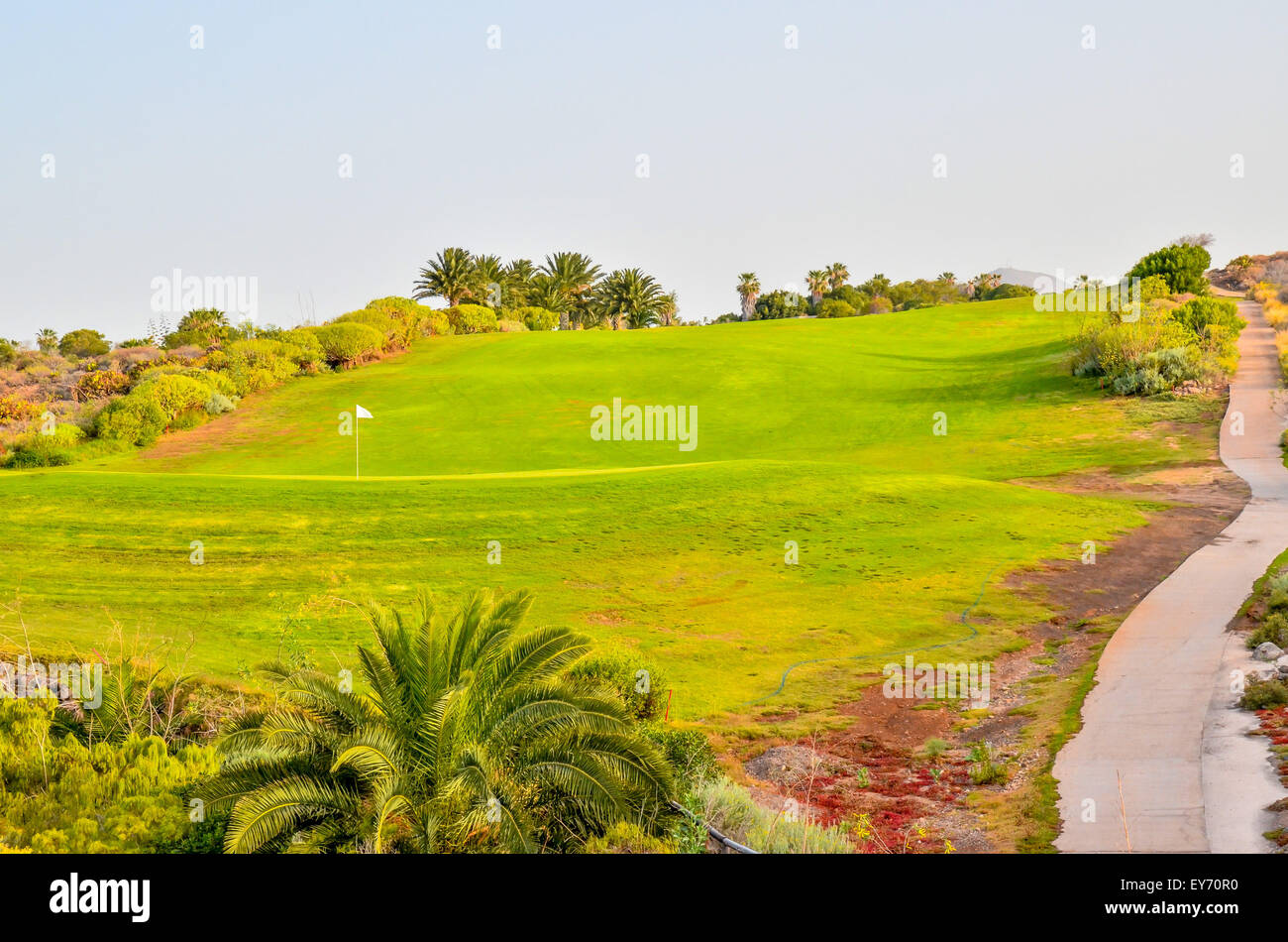 Golf Green Grass Fiel Stock Photo - Alamy