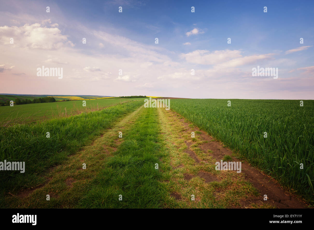 Beautiful countryside landscape Stock Photo - Alamy