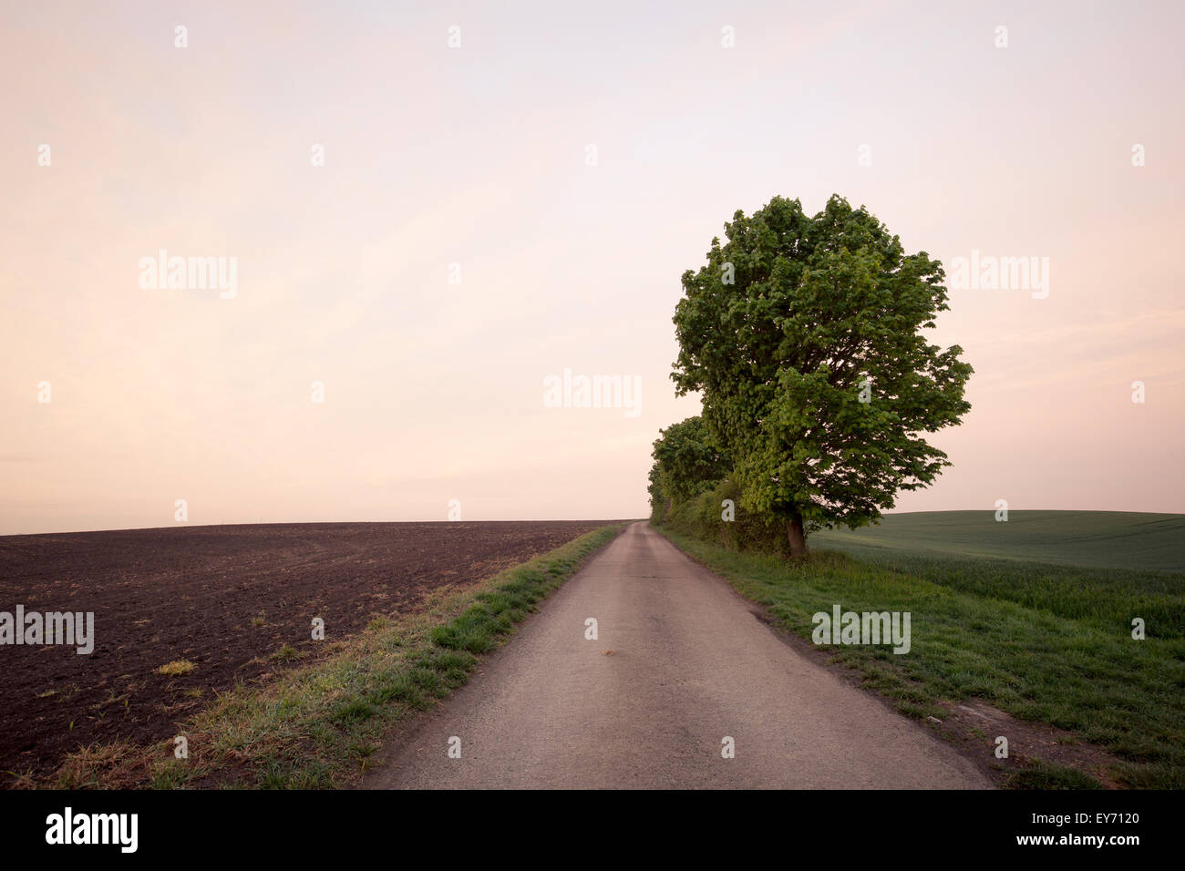 Beautiful countryside landscape Stock Photo - Alamy