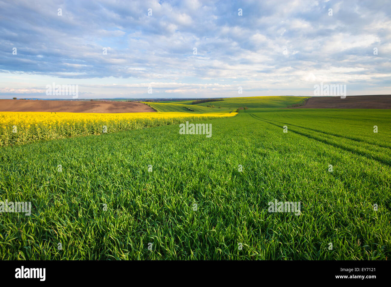 Beautiful rural landscape Stock Photo - Alamy
