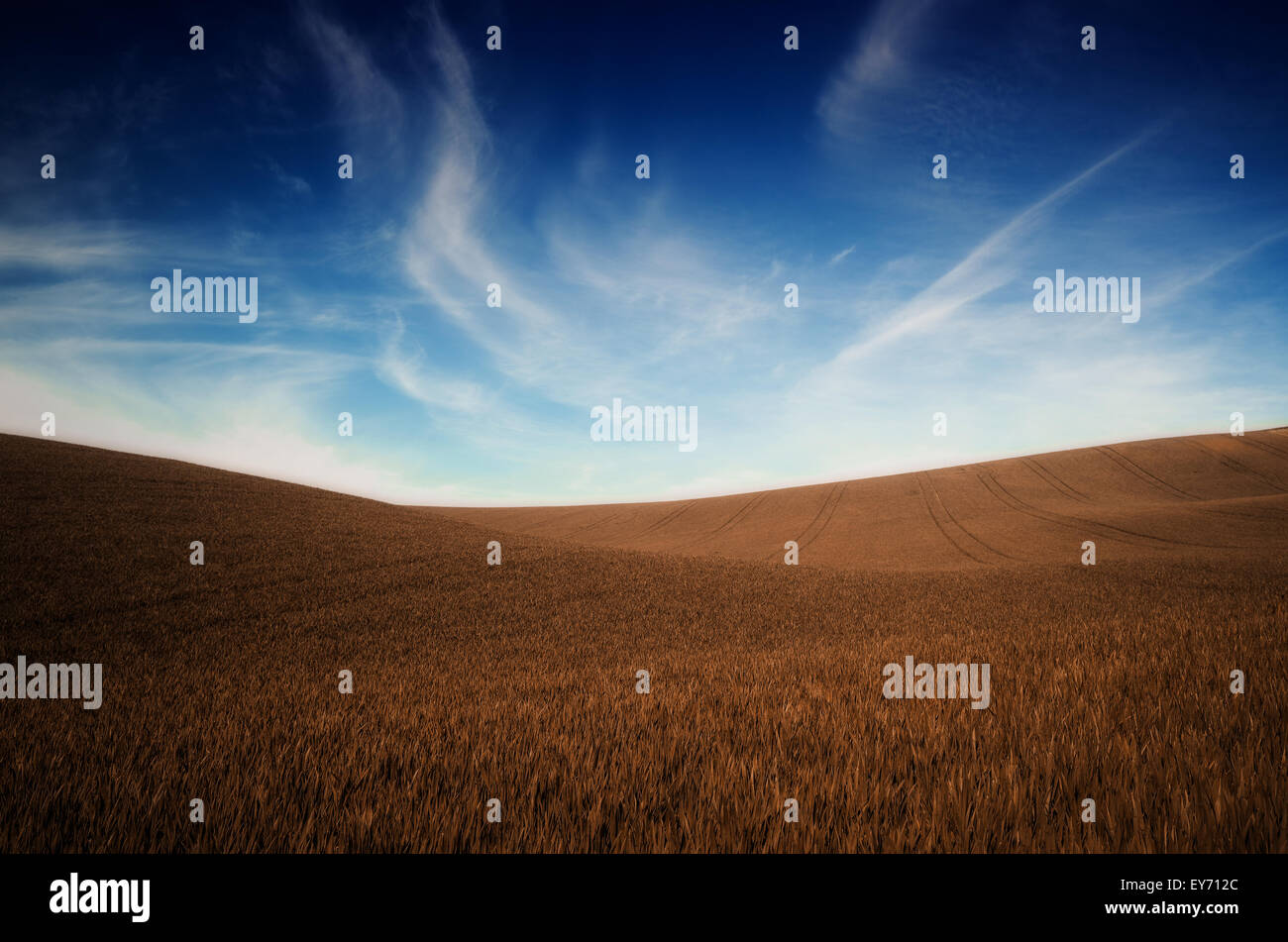 Fall colors grass and blue sky background Stock Photo - Alamy