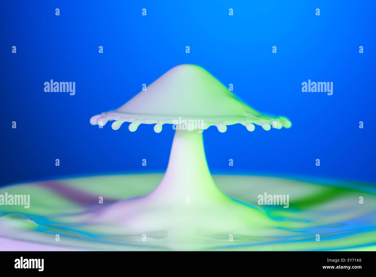 Milk drop collision. Two drops of milk colliding above a bowl and ...
