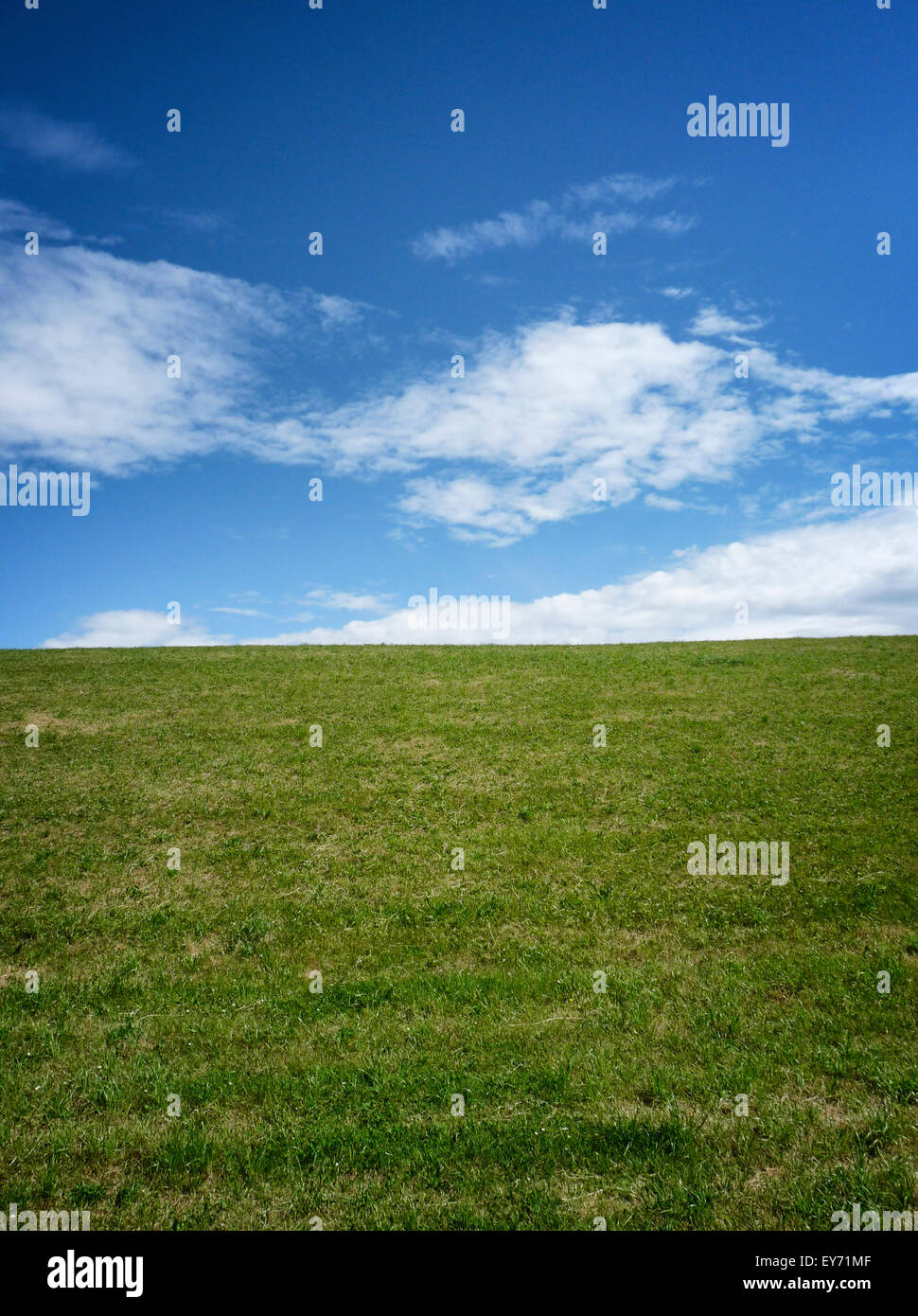 Green grass and blue sky with clouds Stock Photo - Alamy