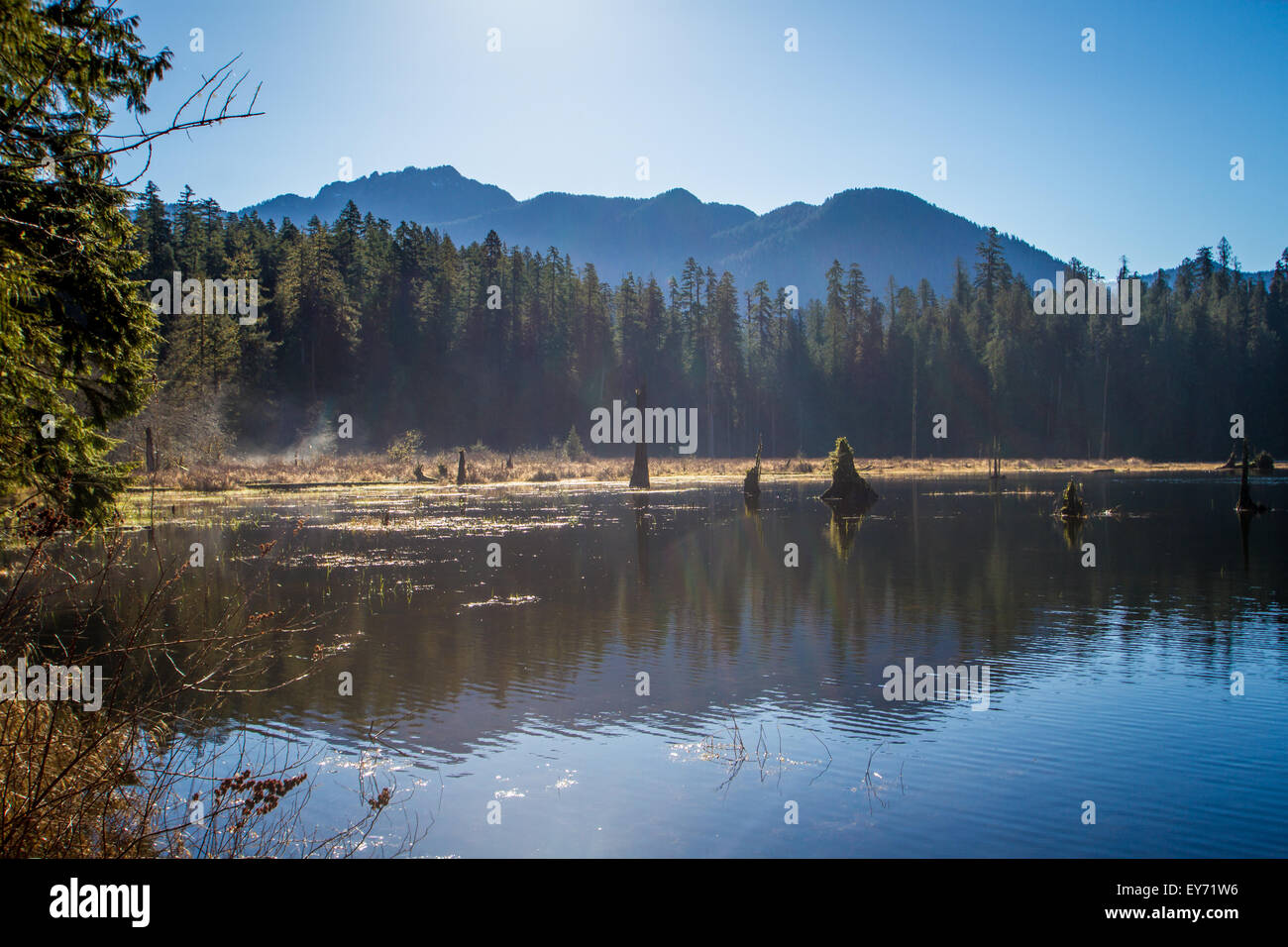 Irely Lake in the Olympic Mountains Stock Photo - Alamy