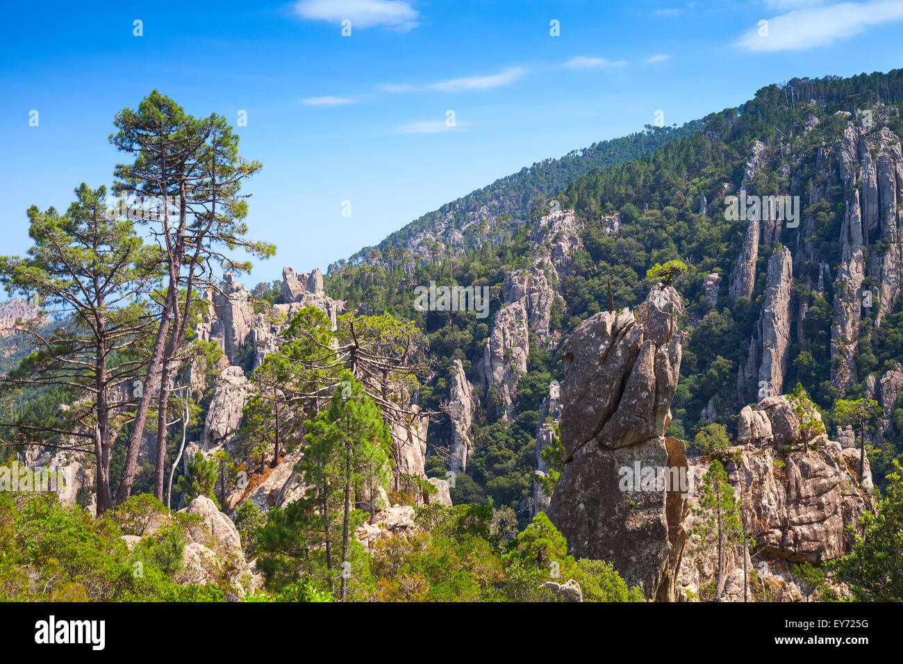 Natural landscape of Corsica island, tall sharp mountains and pine ...