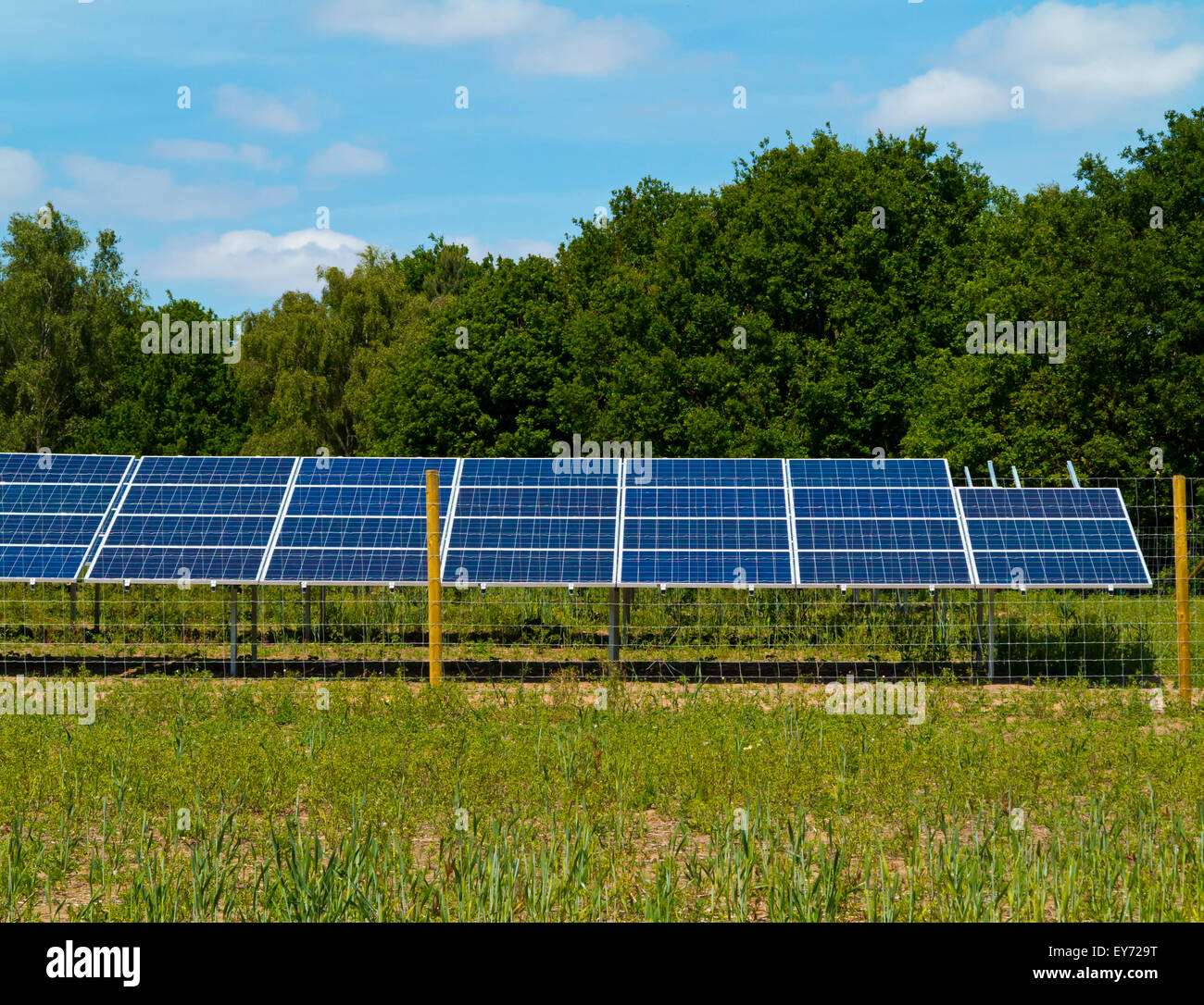 Photovoltaic or PV panels on a solar farm in Nottinghamshire England UK ...