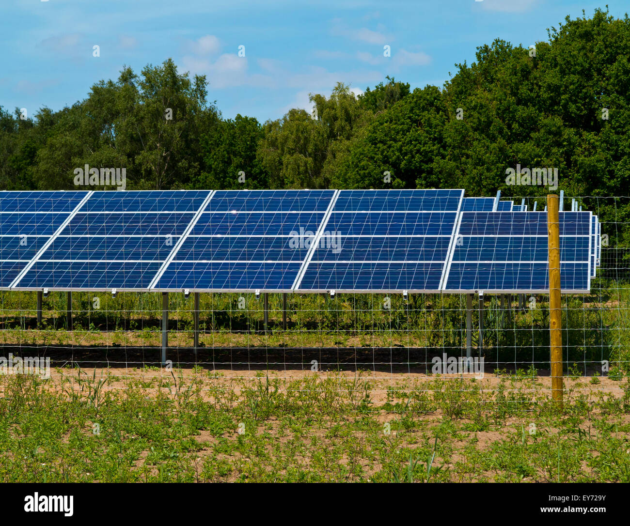 Photovoltaic or PV panels on a solar farm in Nottinghamshire England UK ...