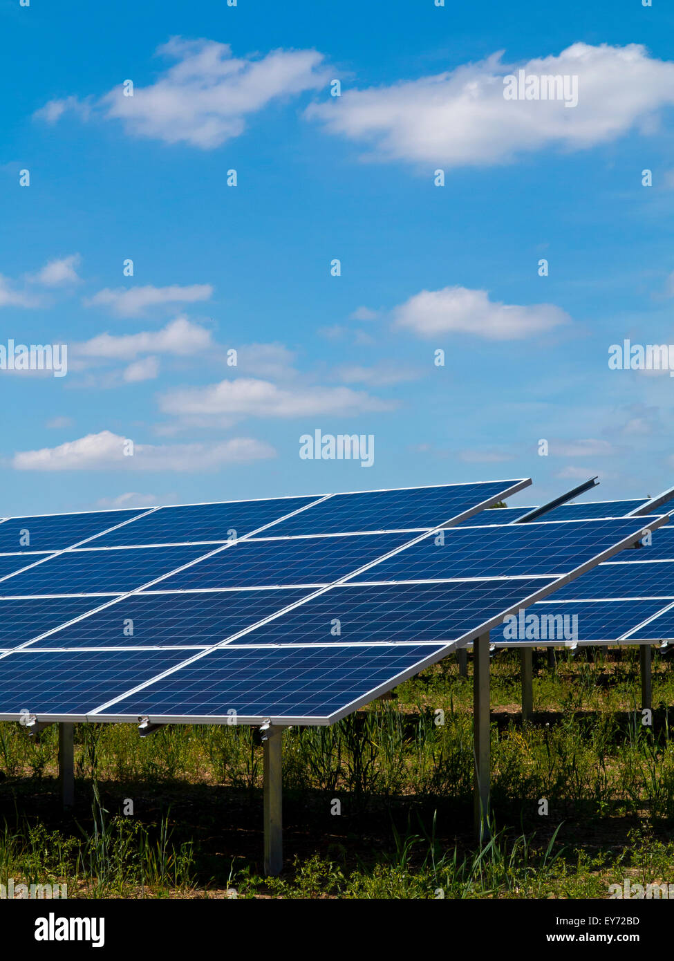 Photovoltaic or PV panels on a solar farm in Nottinghamshire England UK ...