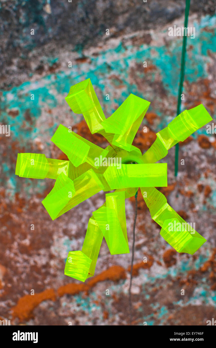 Plastic flower, Fort Cochin, Kerala, South India, Asia Stock Photo - Alamy