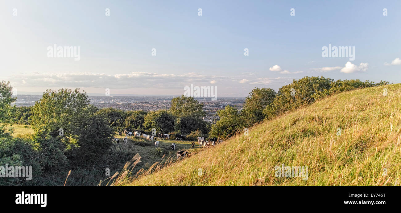 View from Maes Knoll Hill fort Stock Photo - Alamy