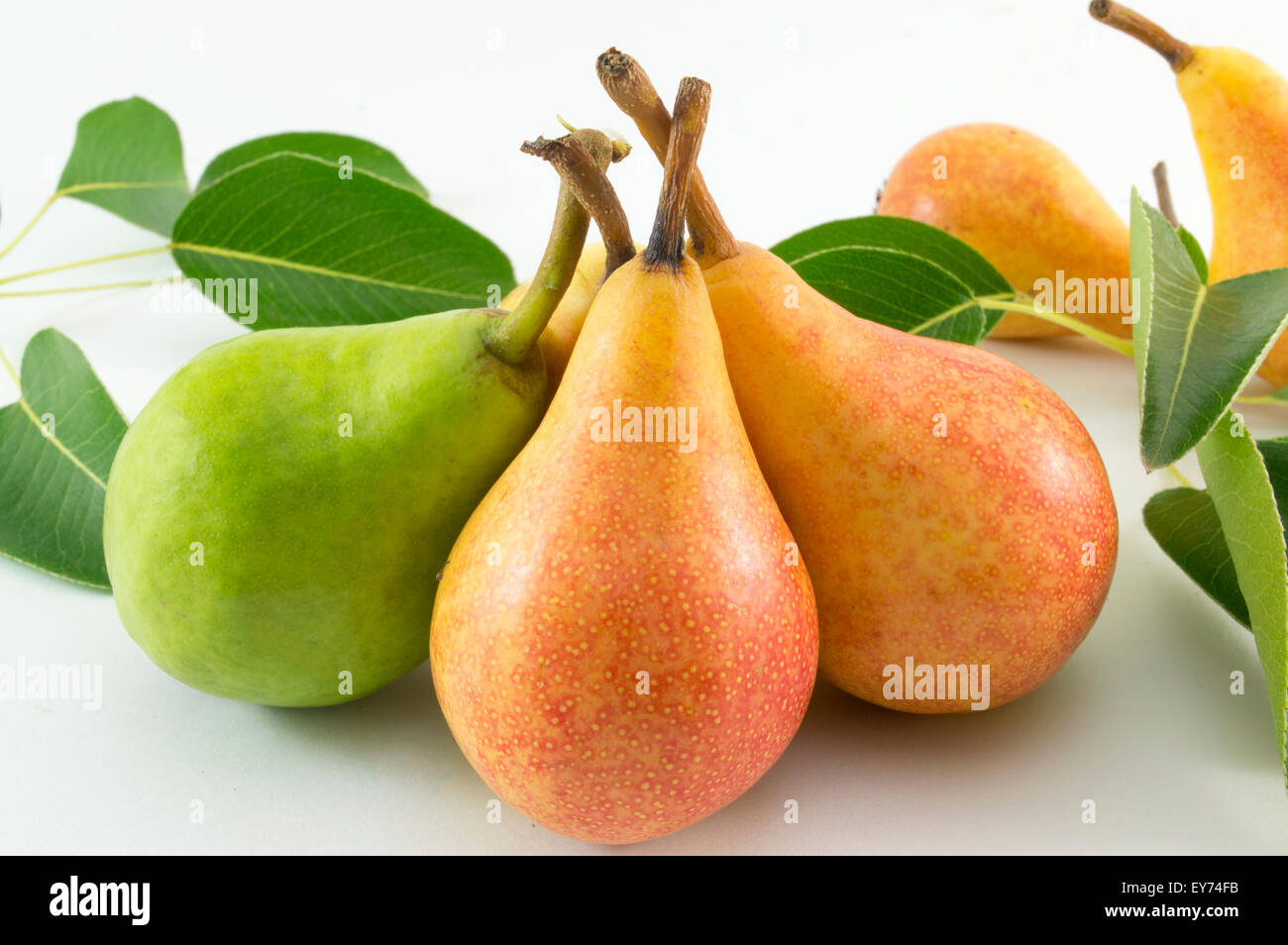 Green orange hi-res stock photography and images - Alamy