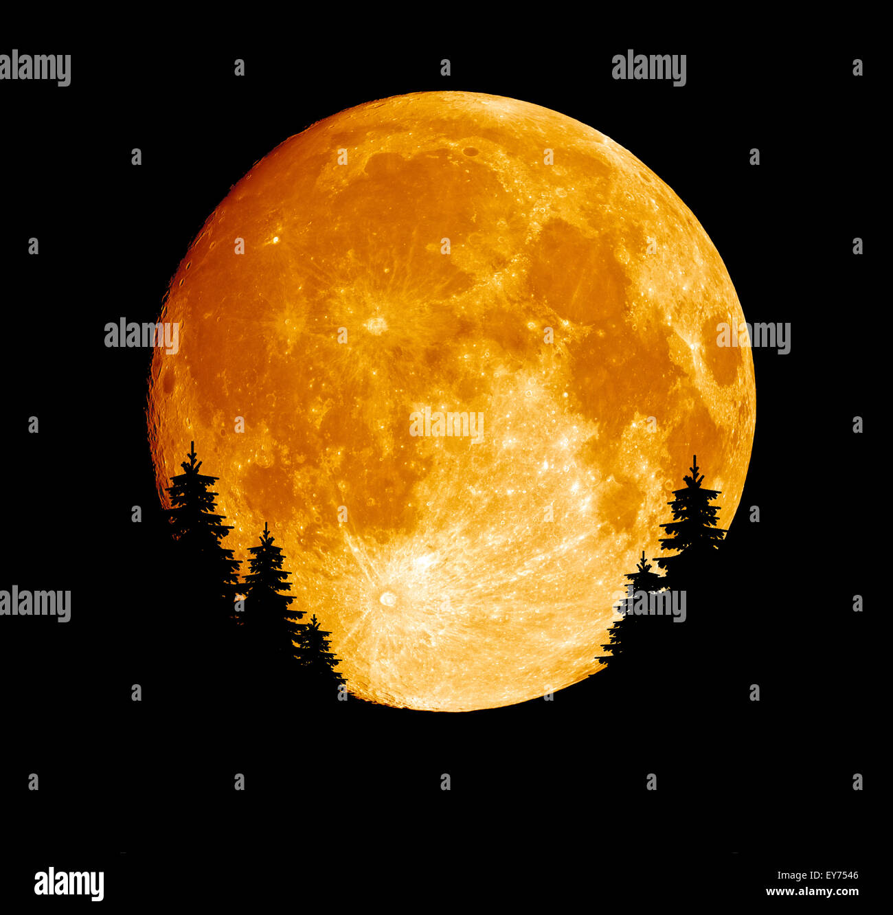 Shined full moon Stock Photo - Alamy