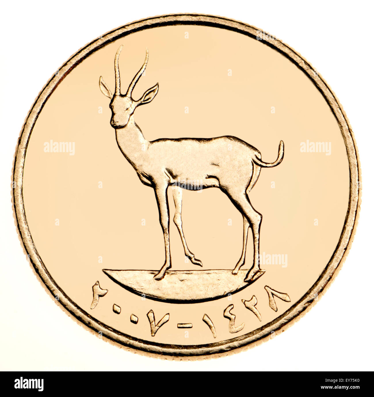 United Arab Emirates coin - 25 Filsa showing an antelope (background ...