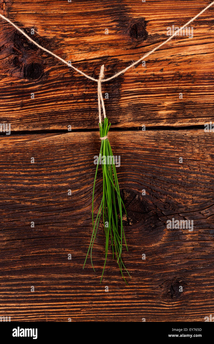 Fresh chives hanging on string against brown wooden vintage background ...