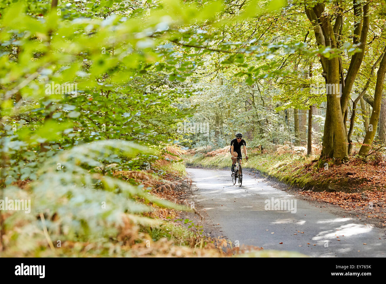 Rides bicycle on country road hi-res stock photography and images - Alamy