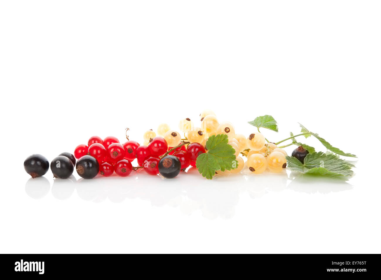 Red, white and black currant isolated on white background with ...