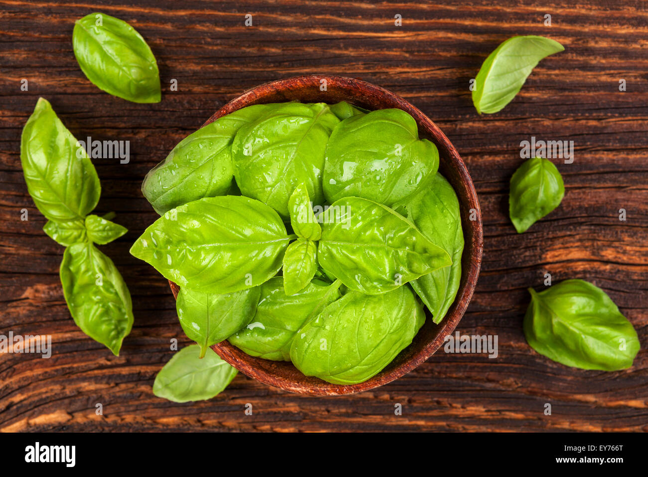 Fresh basil drop water on hi-res stock photography and images - Alamy