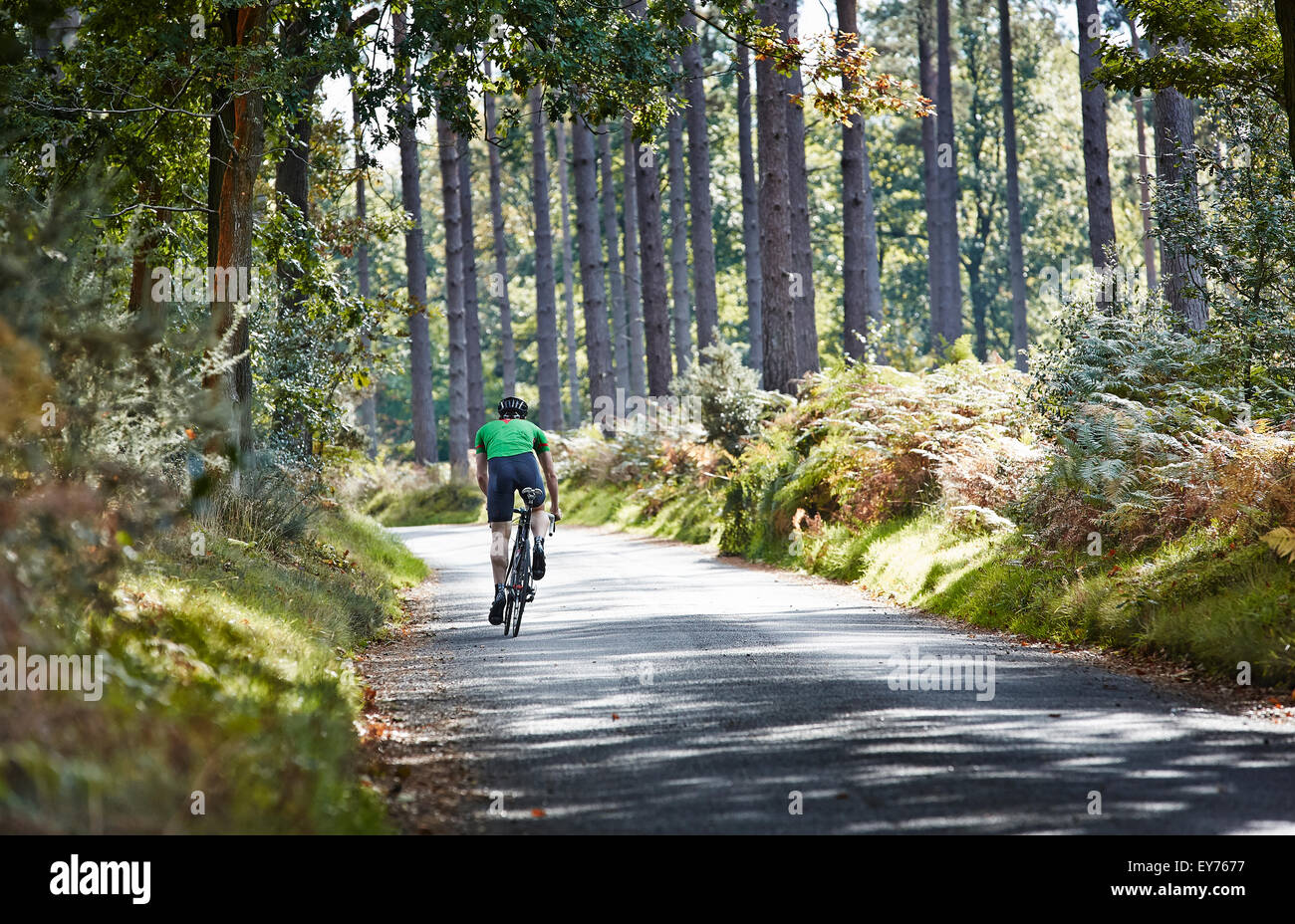 Cyclist rides along forest road hi-res stock photography and images - Alamy