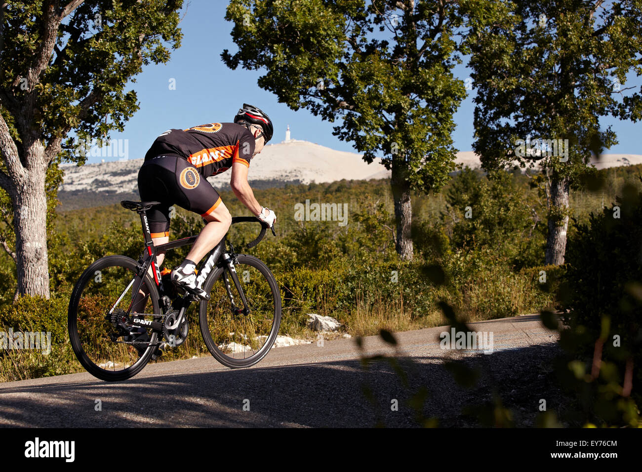 Single cyclist riding up hill towards Mount Ventoux Stock Photo - Alamy