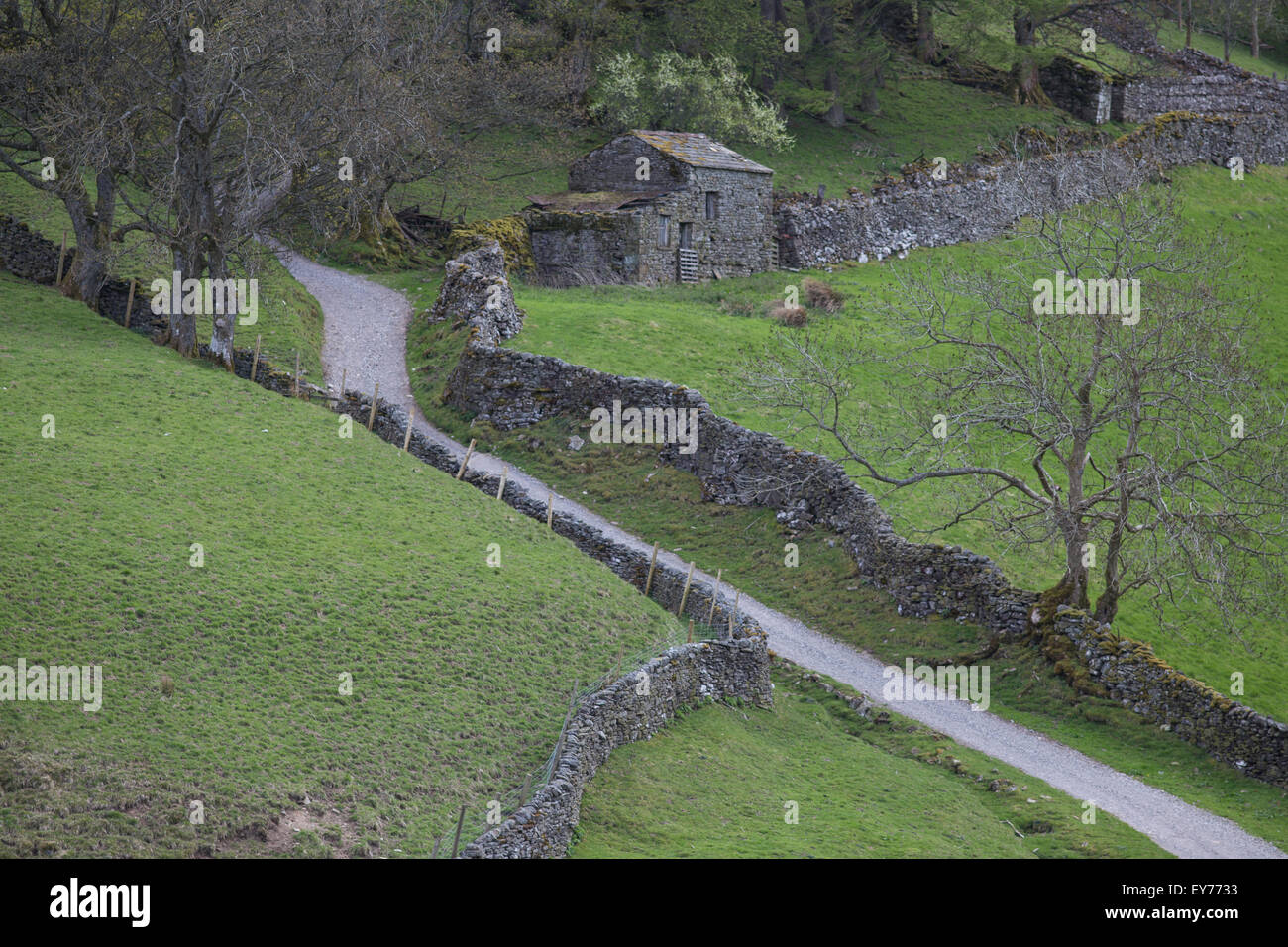 A farm track leading to a old stone barn in the Yorkshire Dales. UK ...