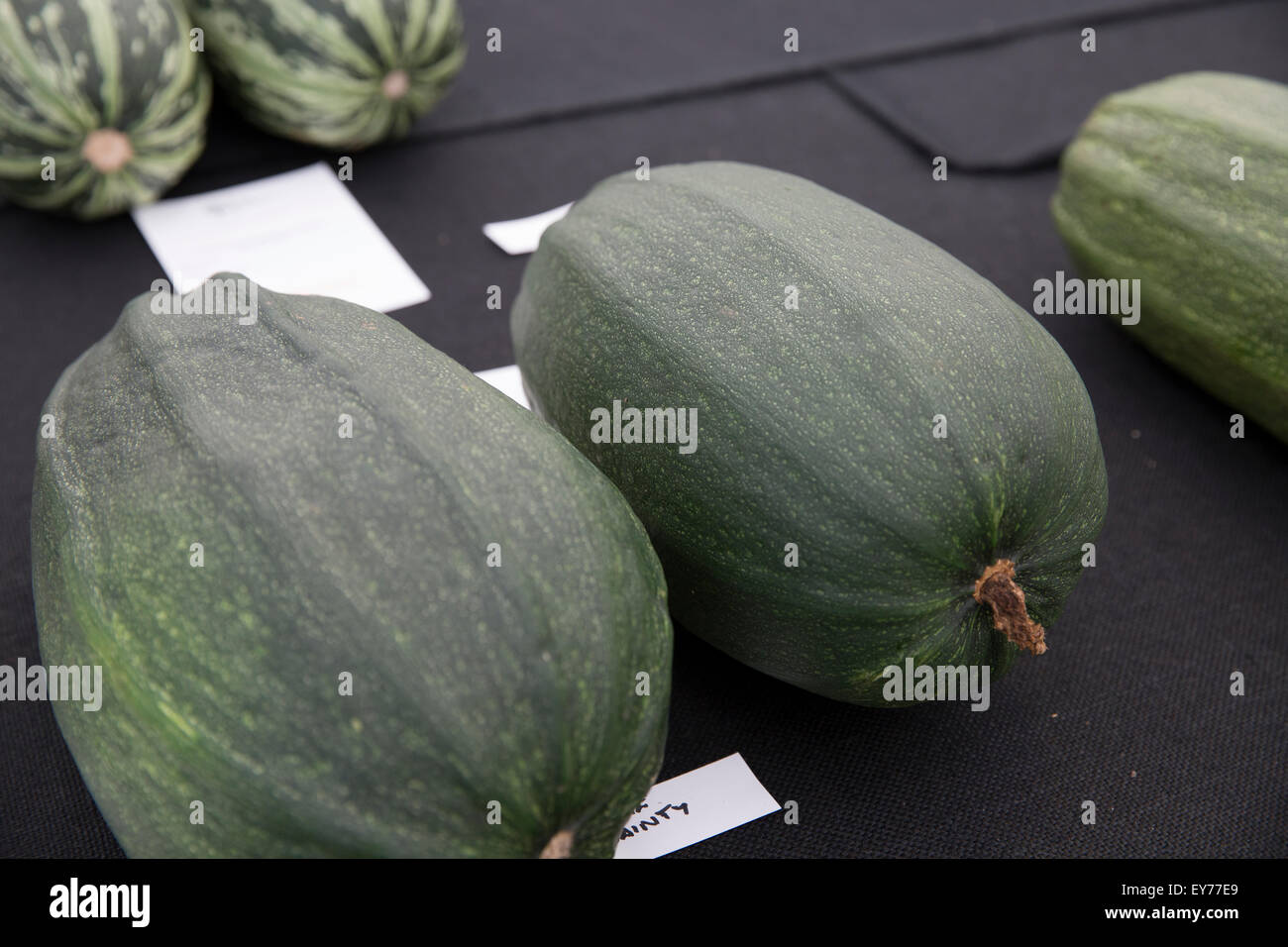 Knutsford, UK. 23rd July, 2015.Prize winning table dainty marrow, on ...