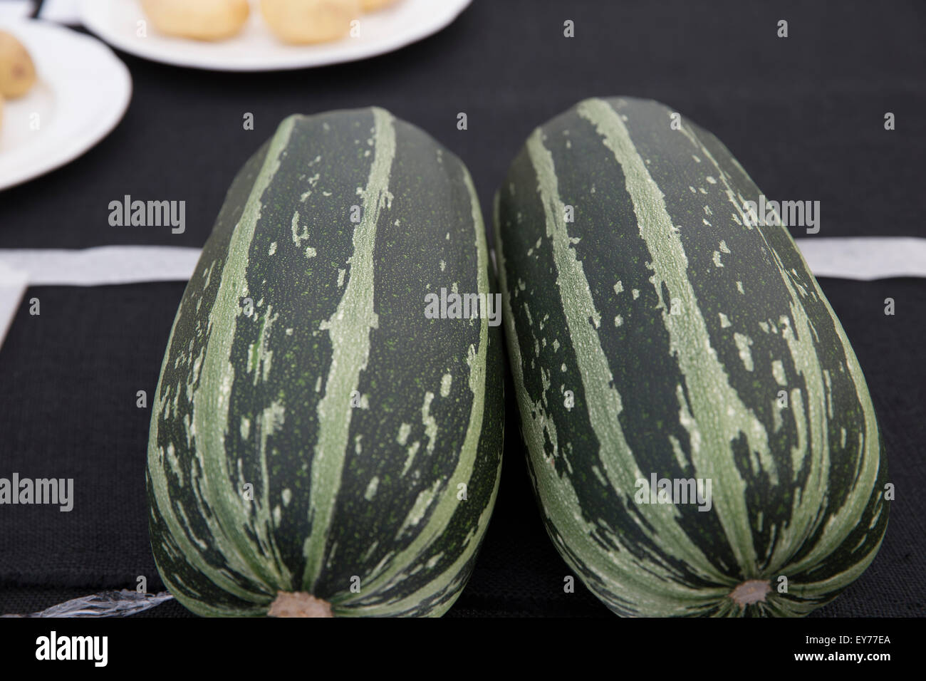 Gold medal winning gardens hi-res stock photography and images - Alamy