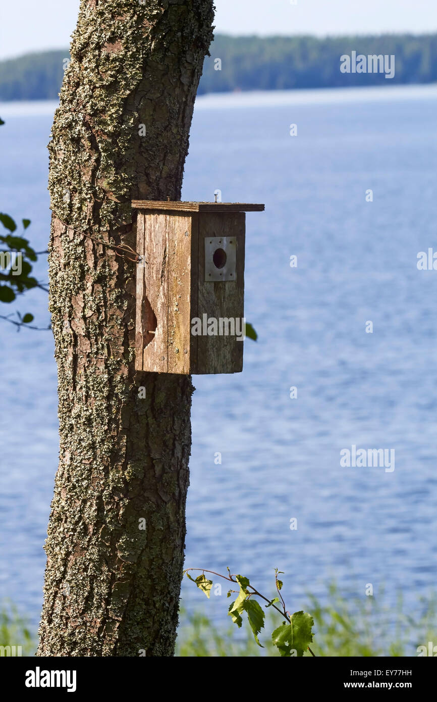 Bird on birdhouse hi-res stock photography and images - Alamy