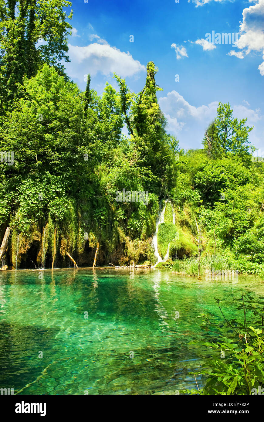 Lake in forest Stock Photo - Alamy