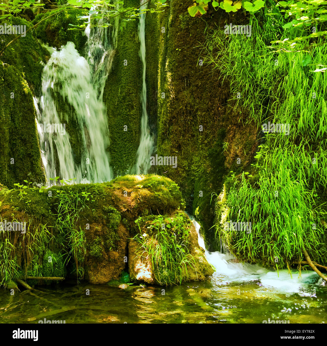 Waterfall in the forest Stock Photo - Alamy