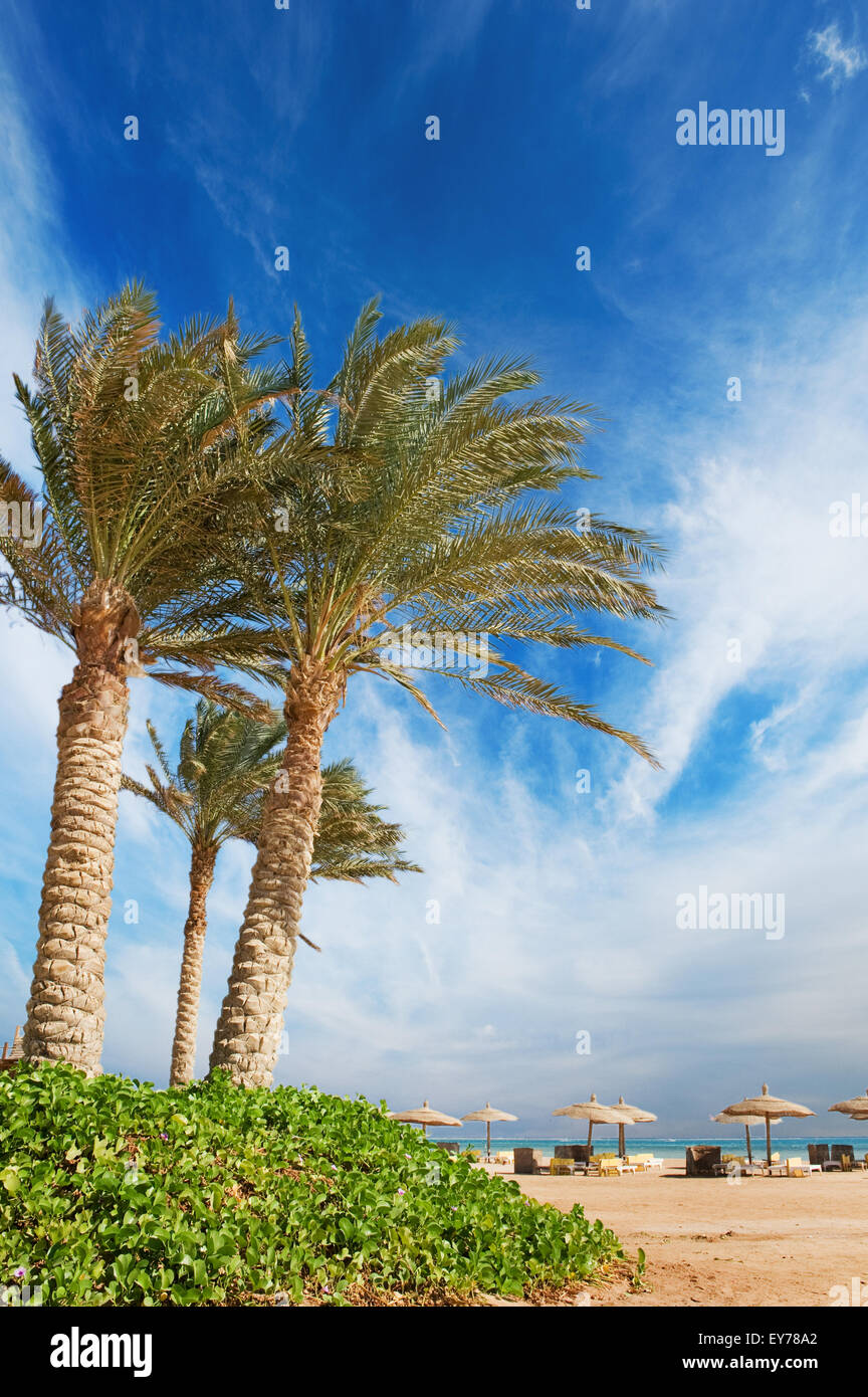 Beautiful beach view Stock Photo - Alamy