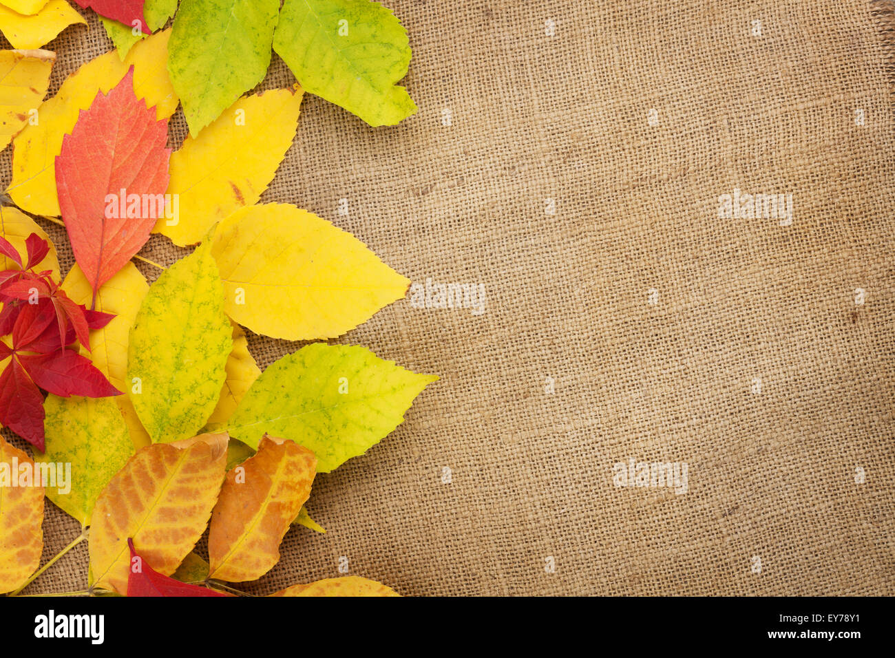Autumn leaves over burlap texture background with copy space Stock ...