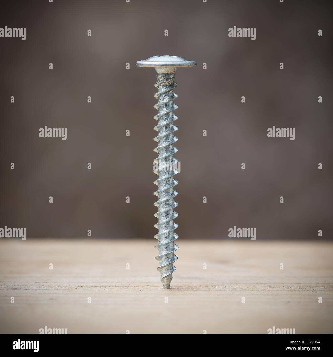 Screw screwed into wooden plank, closeup Stock Photo - Alamy