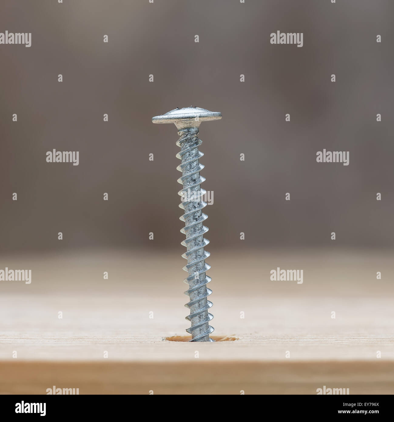 Screw screwed into wooden plank, closeup Stock Photo - Alamy