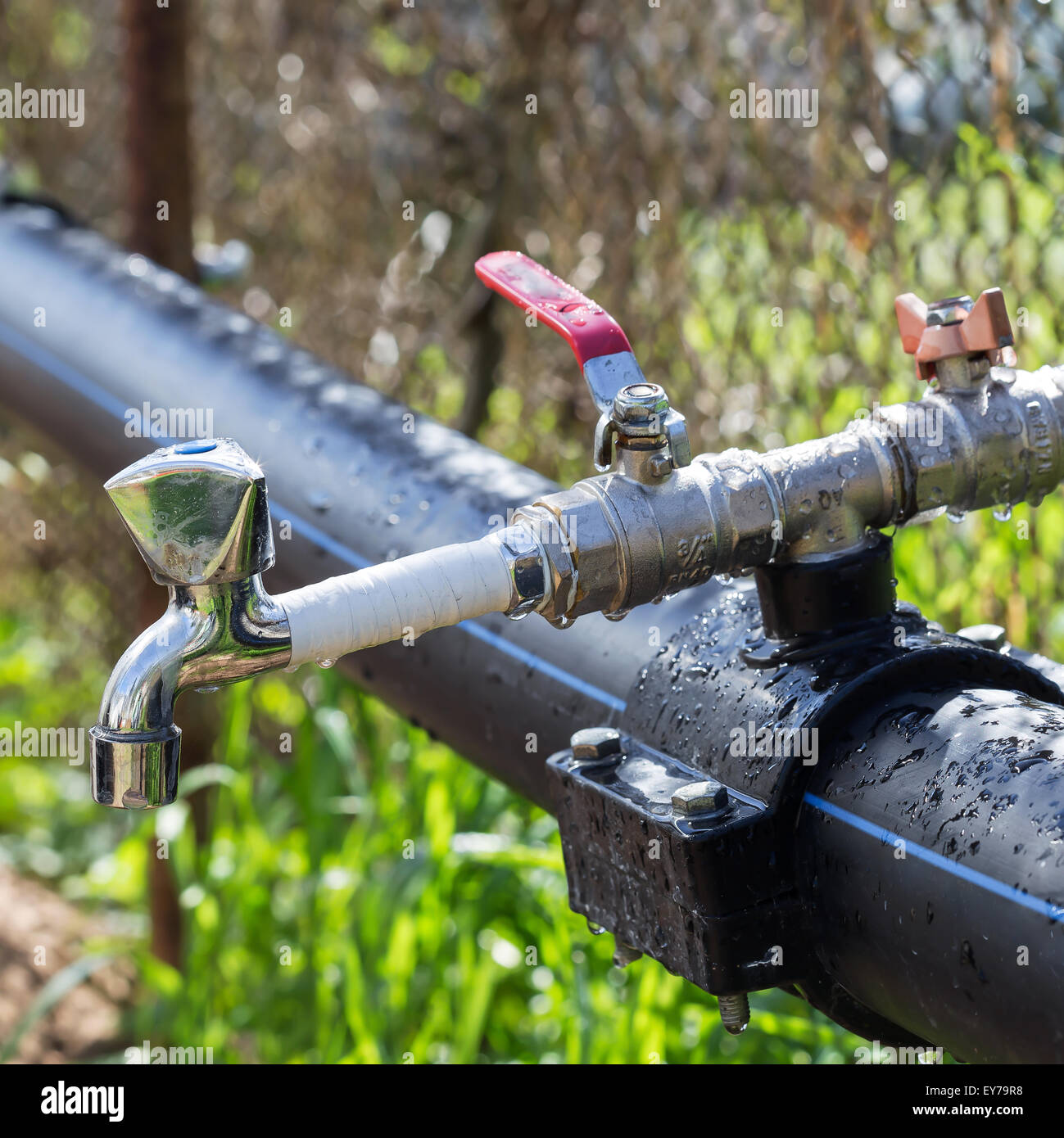 Faucet at garden, outdoors Stock Photo - Alamy