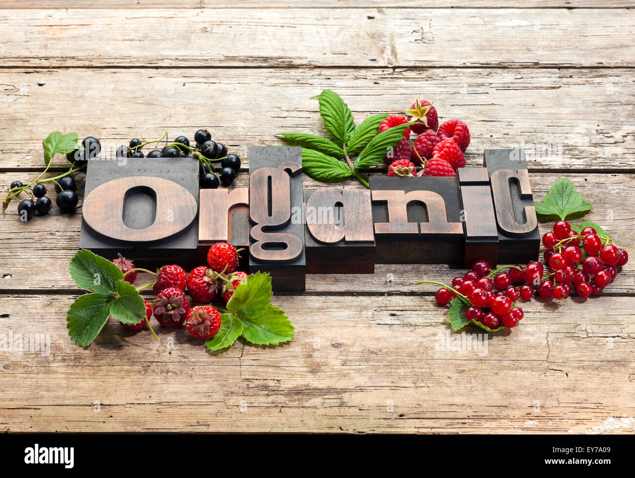 Word "organic" written with vintage letterpress printing blocks ...