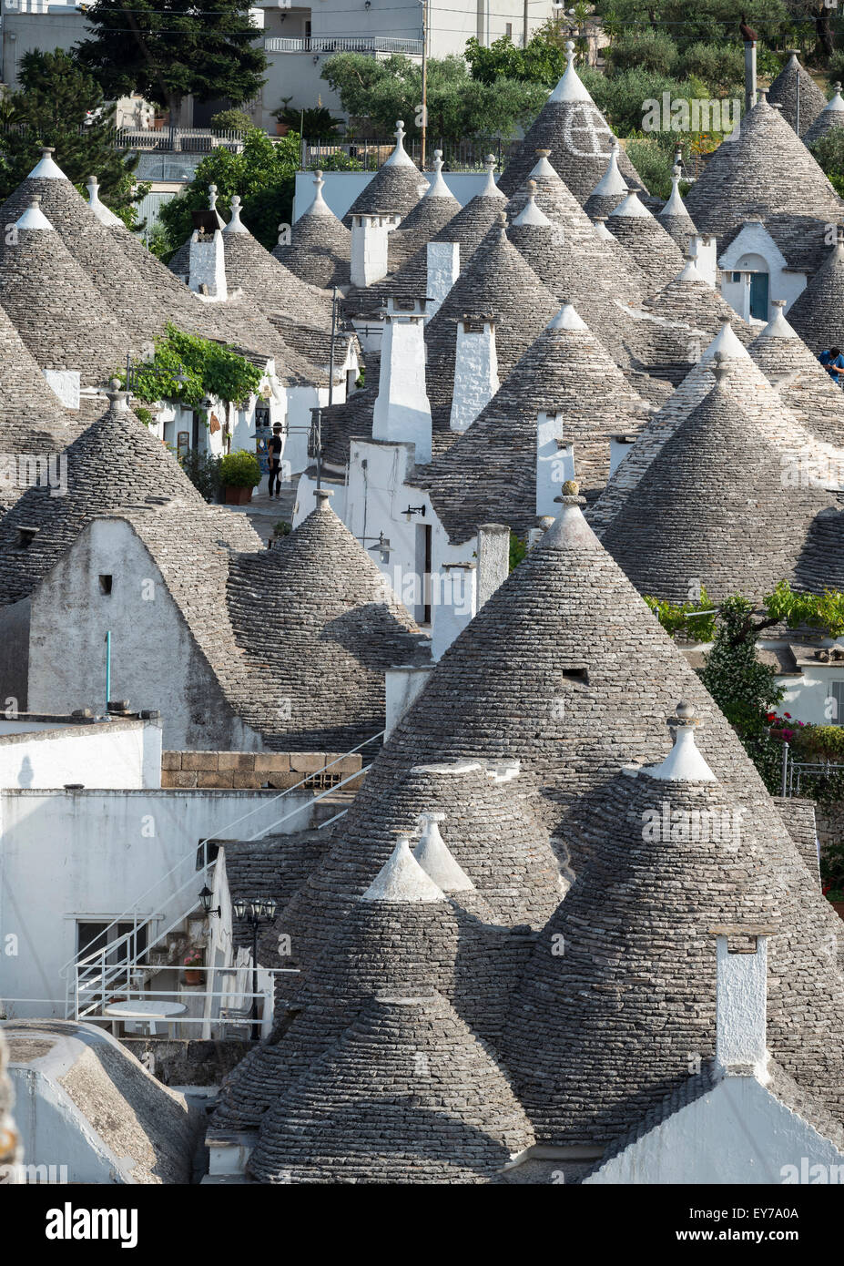 The typical conical stone roofs of trulli houses at Alberobello, Puglia ...