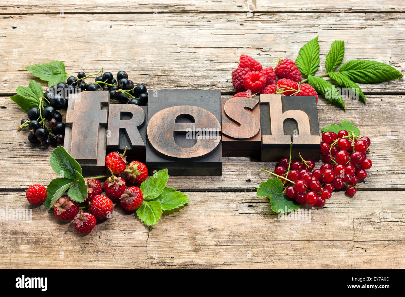 Word "Fresh" written with vintage letterpress printing blocks ...
