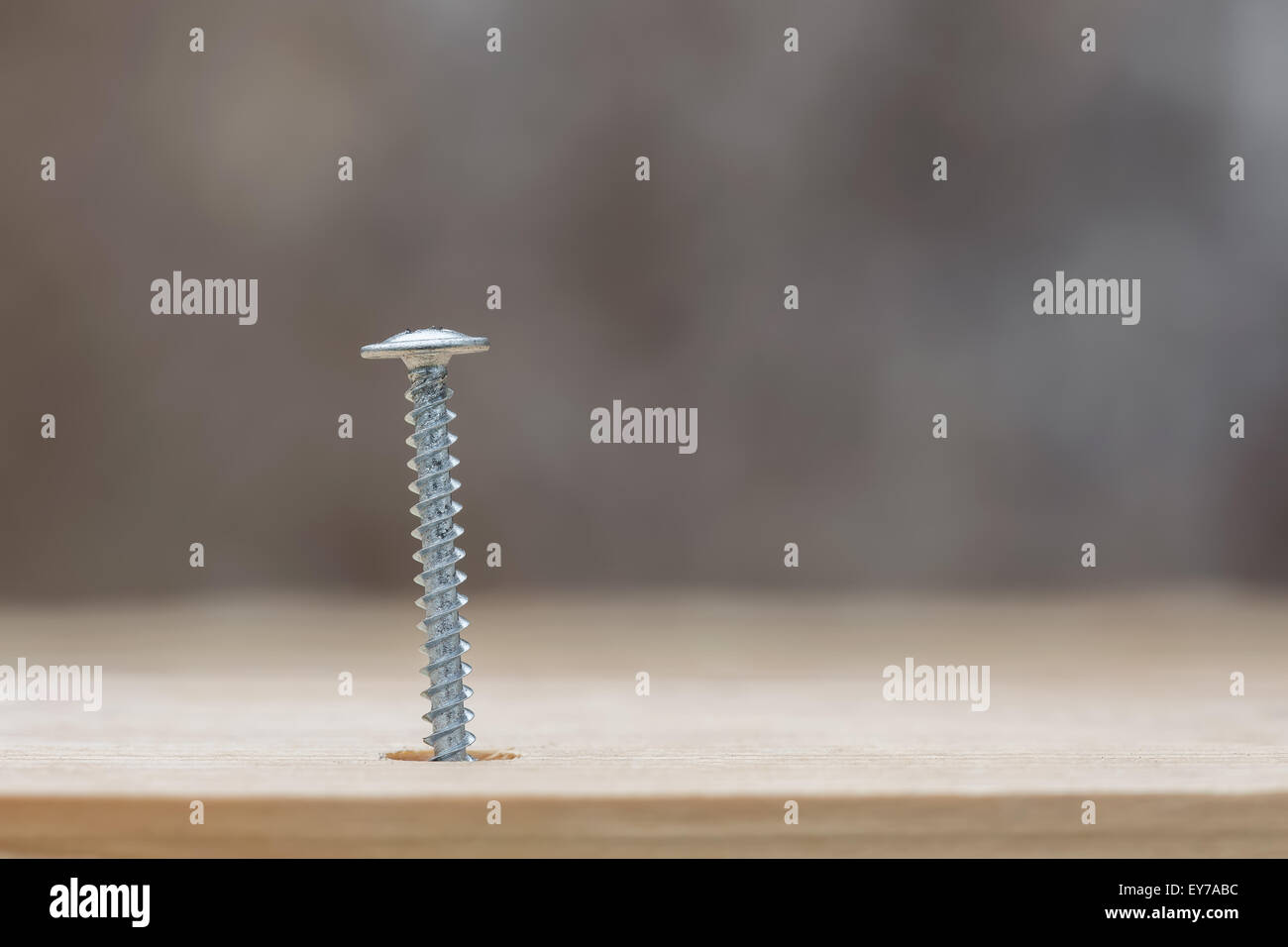 Screw screwed into wooden plank, closeup Stock Photo - Alamy