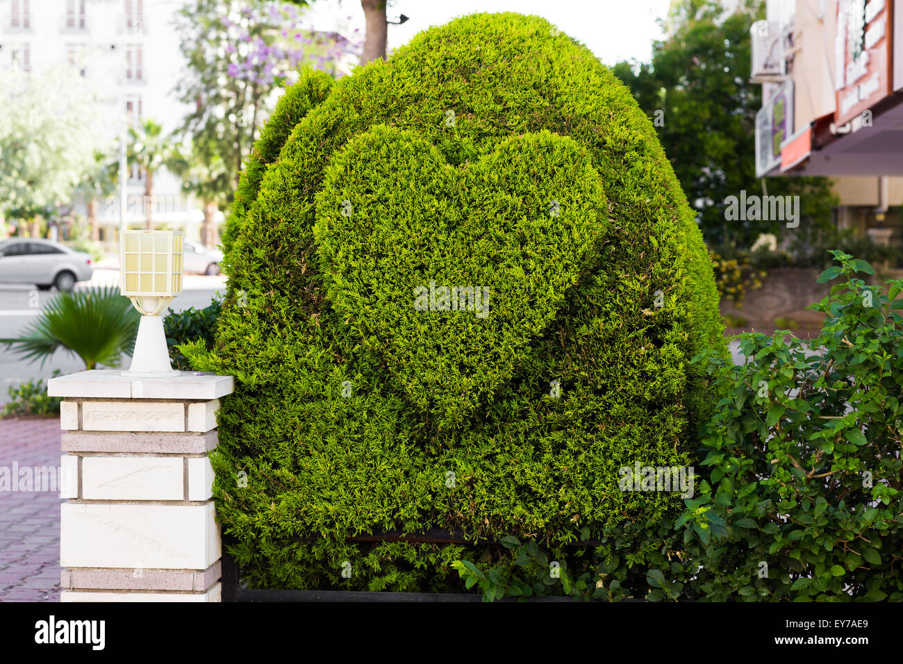 Boughs form hi-res stock photography and images - Alamy