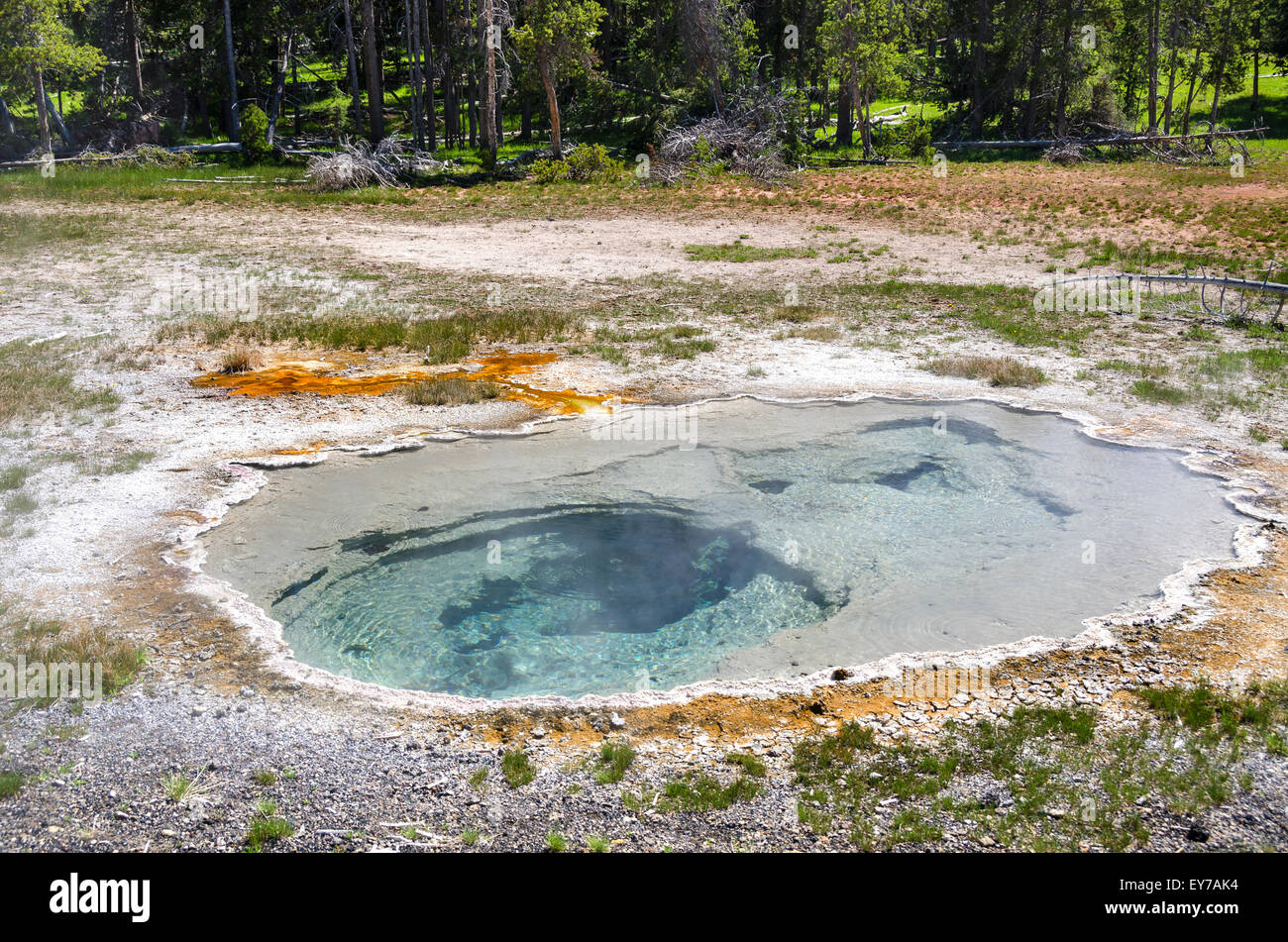 landscape and Geyser in Yellowstone National Park Stock Photo - Alamy