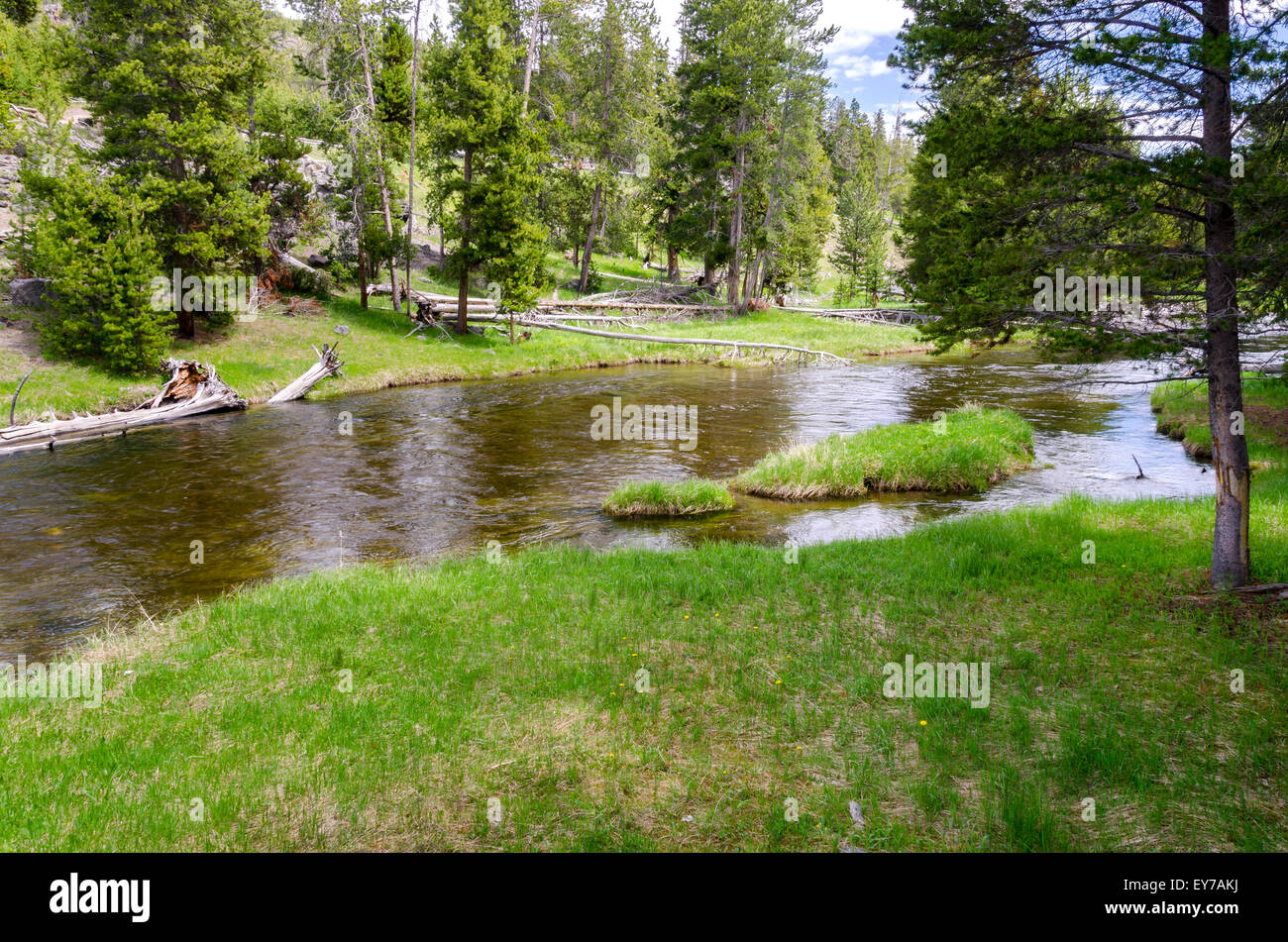 landscape and Geyser in Yellowstone National Park Stock Photo - Alamy
