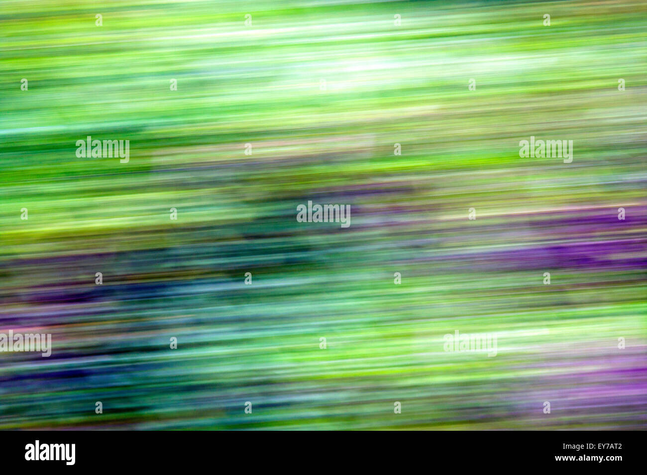 green nature background fast line Stock Photo - Alamy