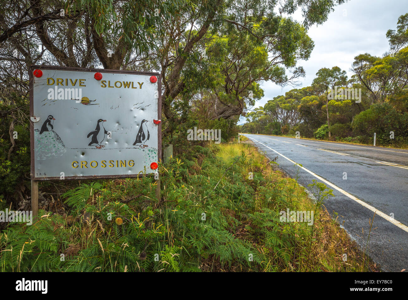 Bruny island neck game reserve hi-res stock photography and images - Alamy