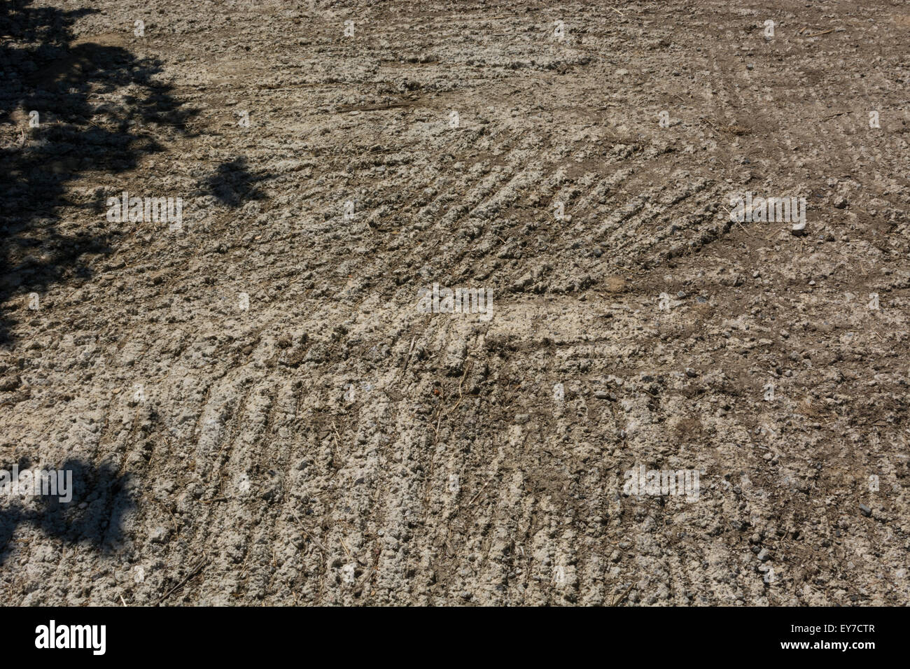 Concreted area by farm gate, showing scratched grooved surface to ...