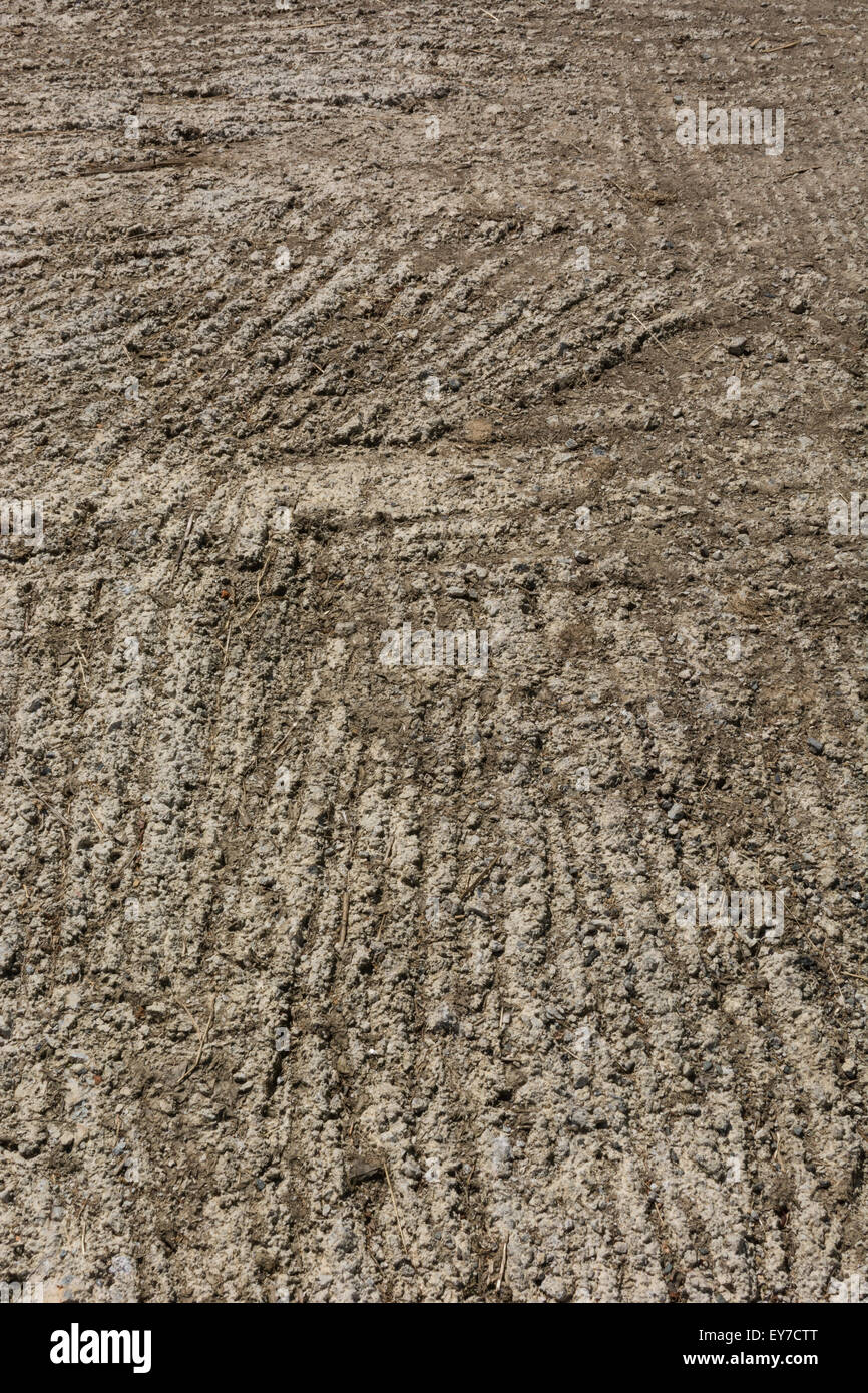 Rough concrete surface texture hi-res stock photography and images - Alamy