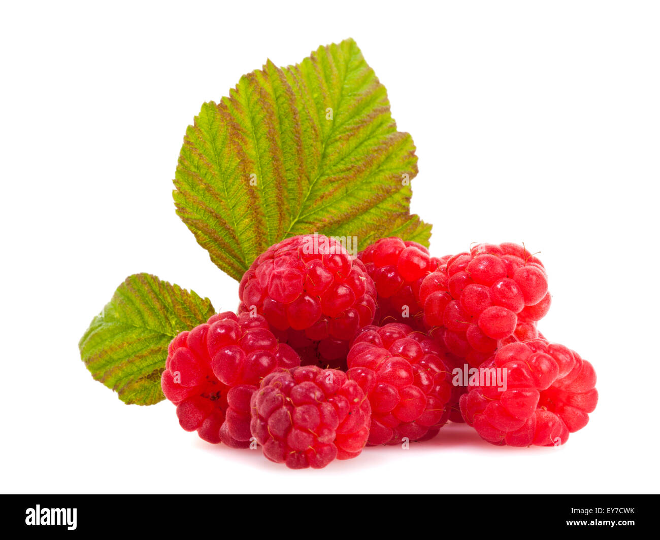 Heap of raspberries with their leaves isolated on white background ...