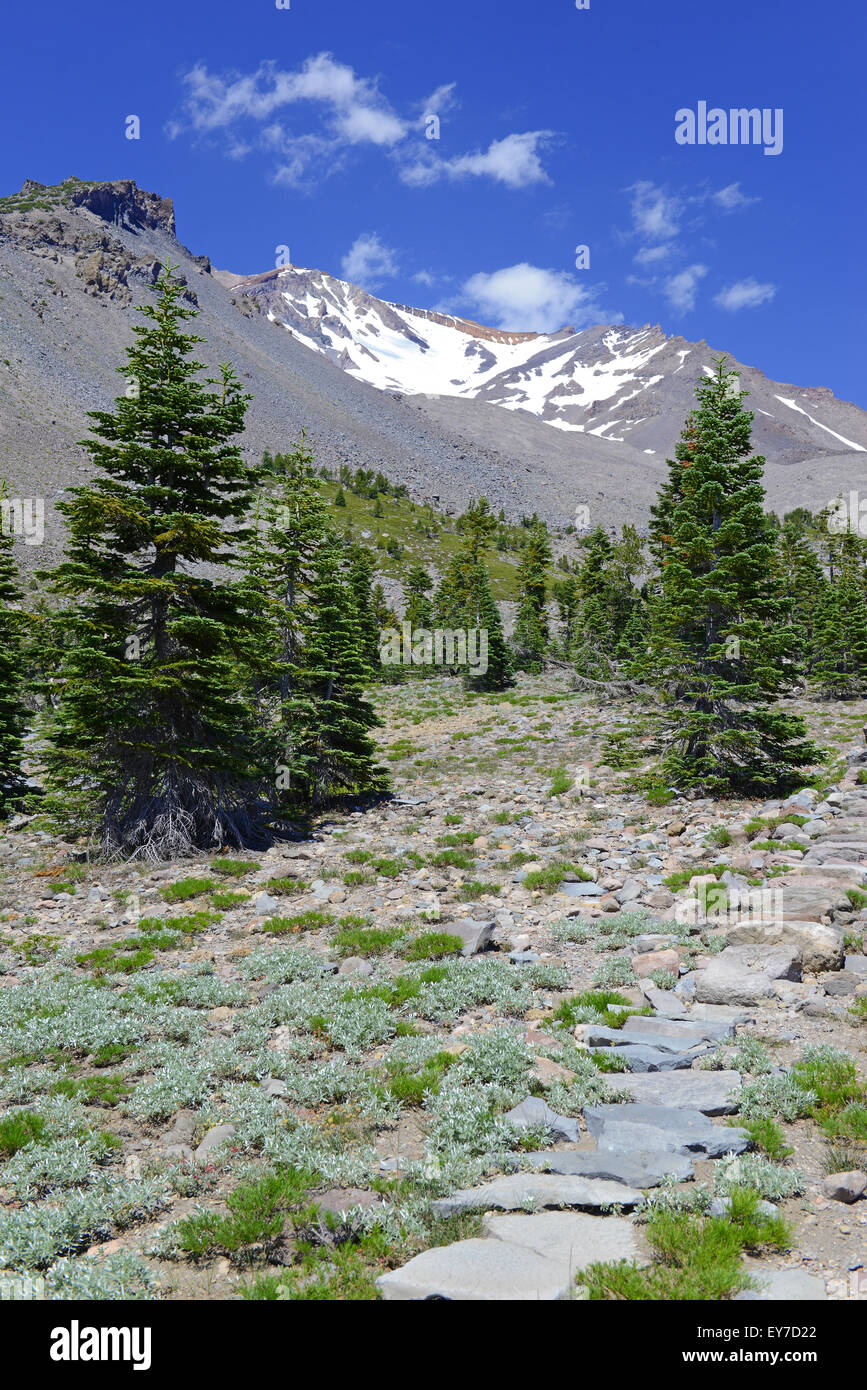 Mount Shasta volcano, Cascade Range, California, USA Stock Photo - Alamy