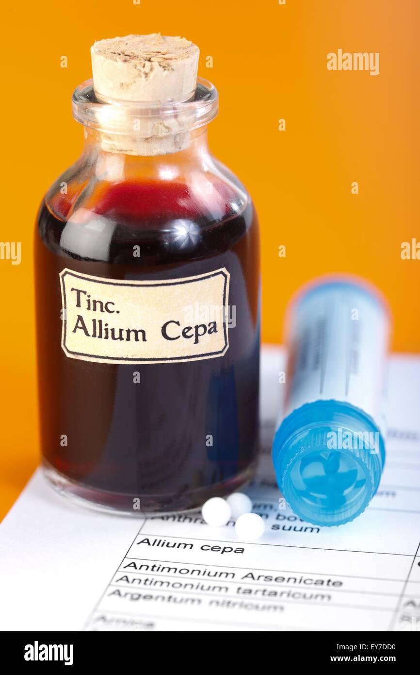 Allium Cepa plant extract and homeopathic pills on technical sheet ...
