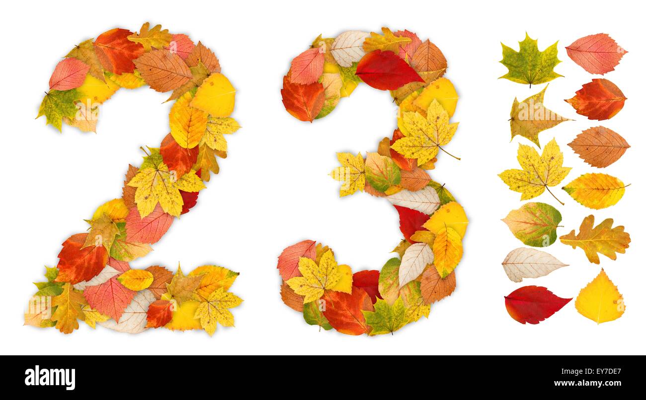 Numbers 2 and 3 made of colorful autumn leaves. Standalone design ...